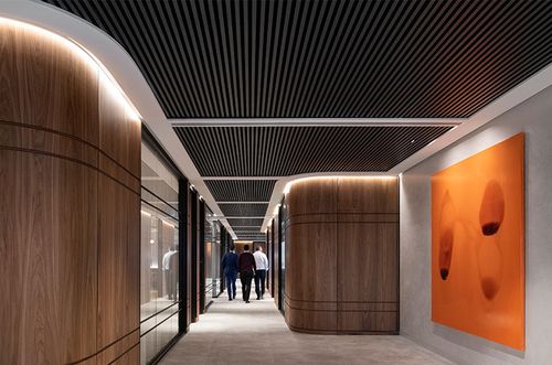 Aluminium Ceiling Systems