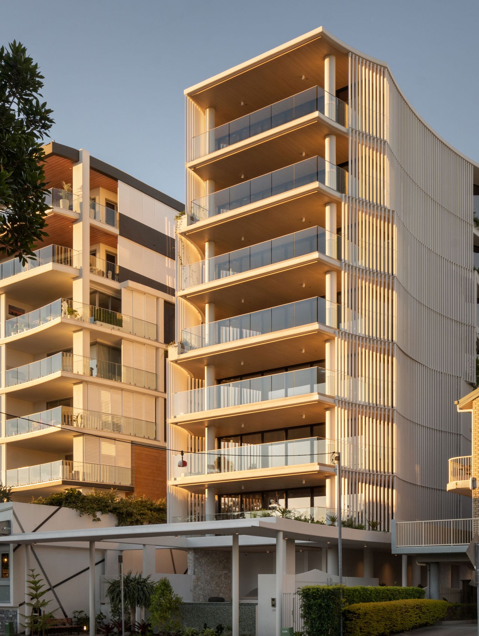 Cotton Tree by Mosaic
