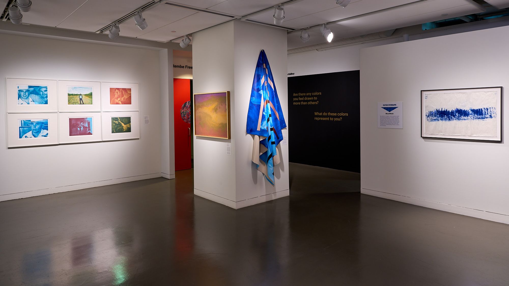 Spectrum: On Color & Contemporary Art | Museum of the African Diaspora