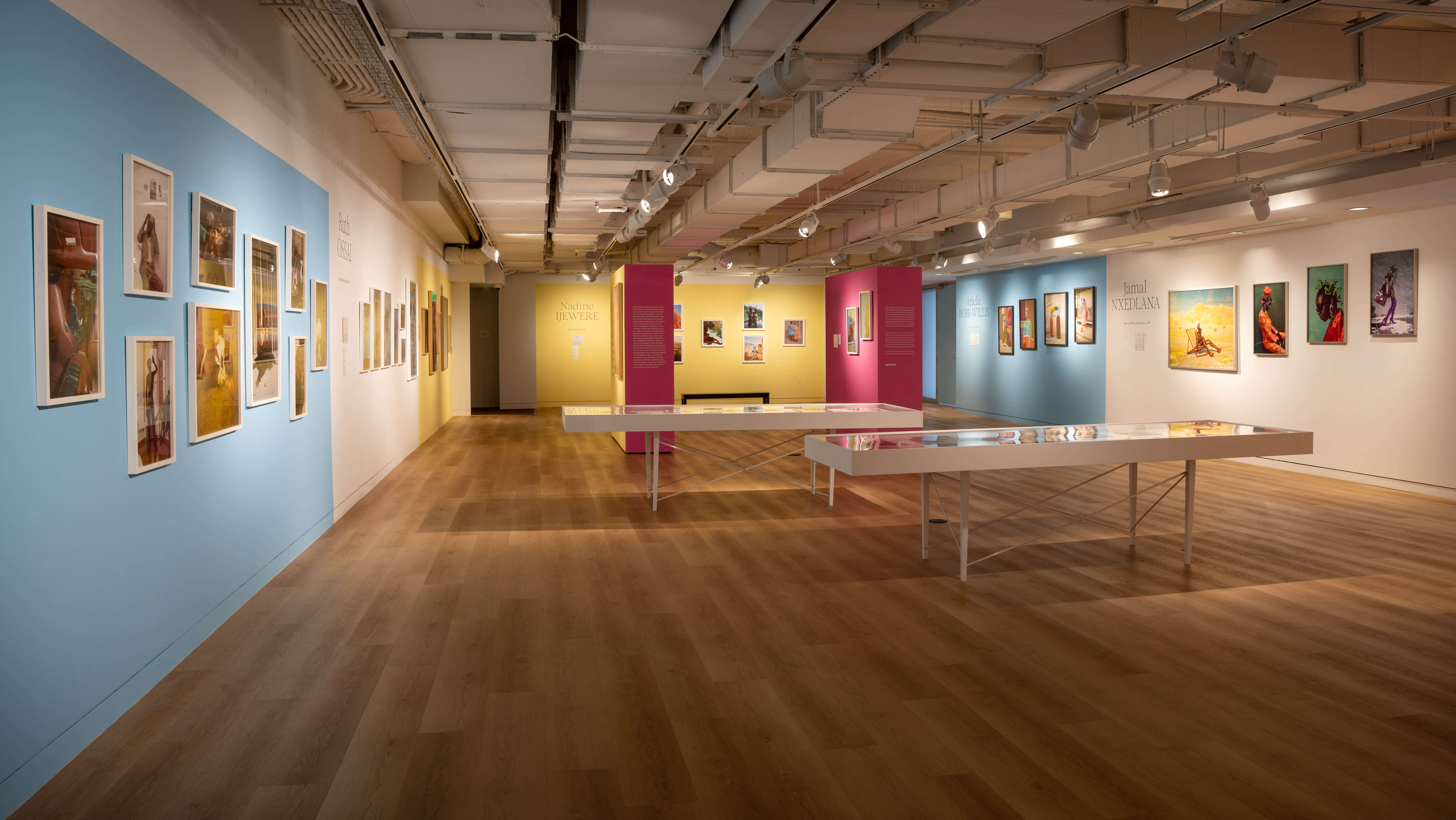 Our Team | Museum of the African Diaspora (MoAD)