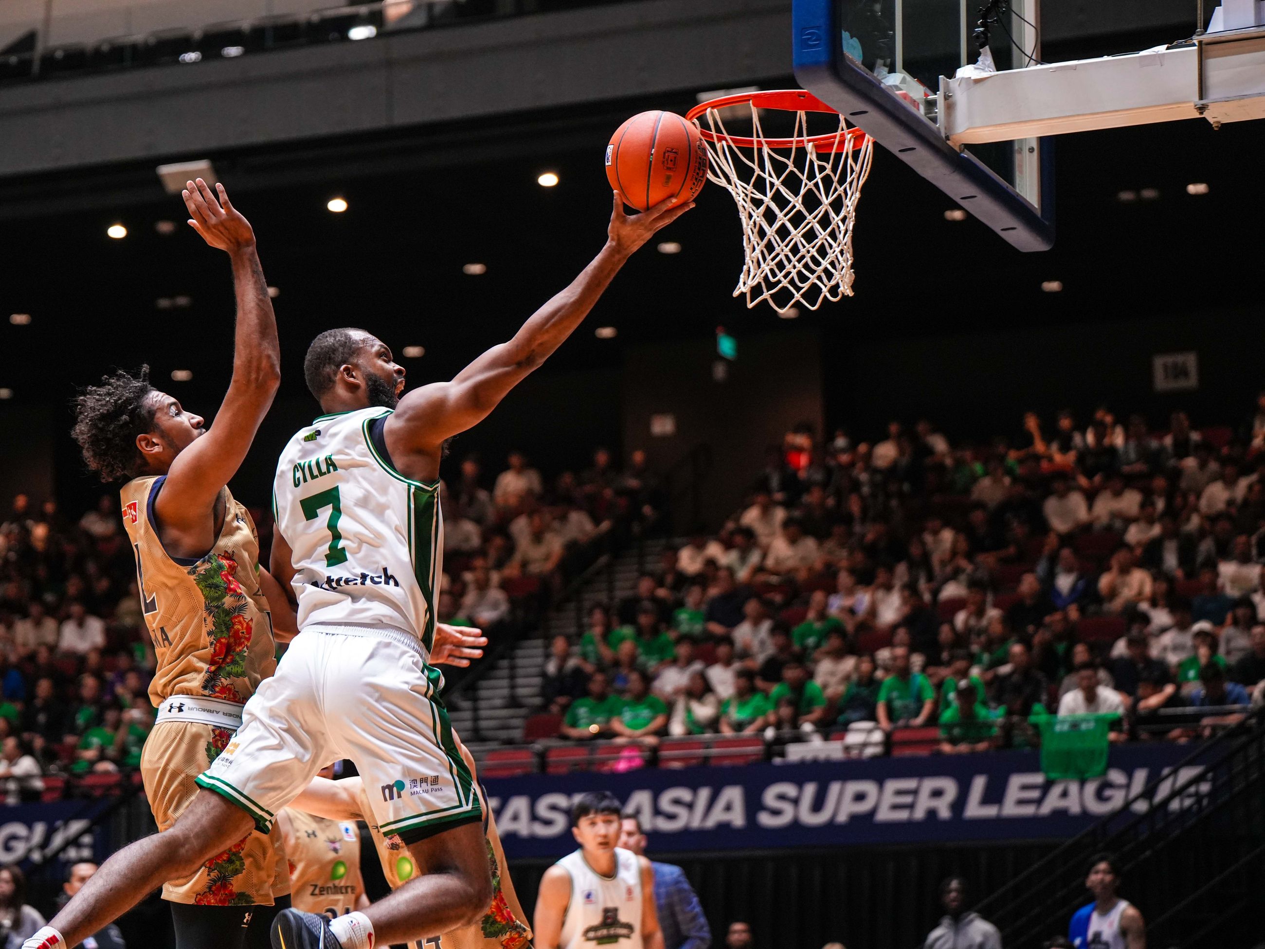 Macau Black Bears | EASL