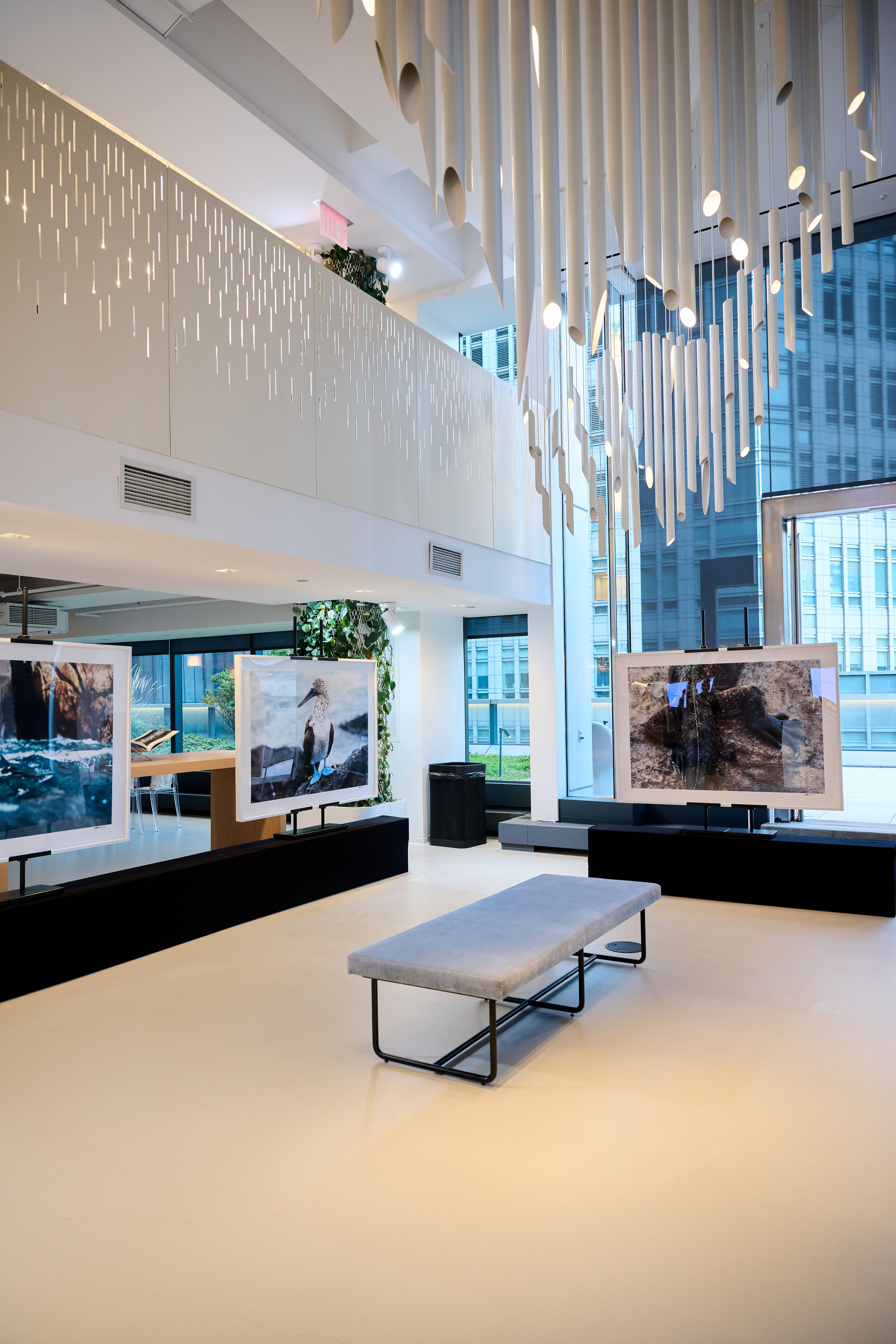 Shiseido x Enzo Barracco | The Skin of Rock: Galapagos