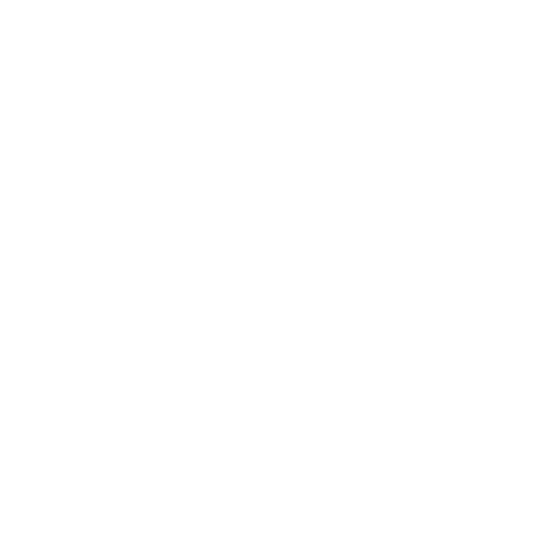 Aktiviteter | PINPIN Oslo