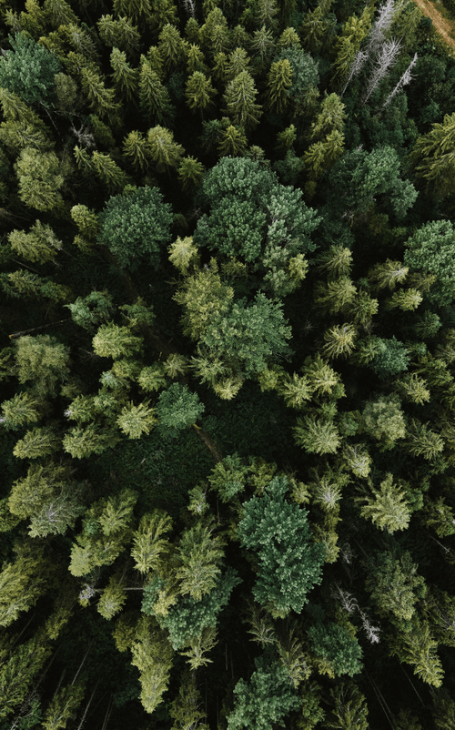 Twala | Tamper-proof and legally binding electronic signature in the ...