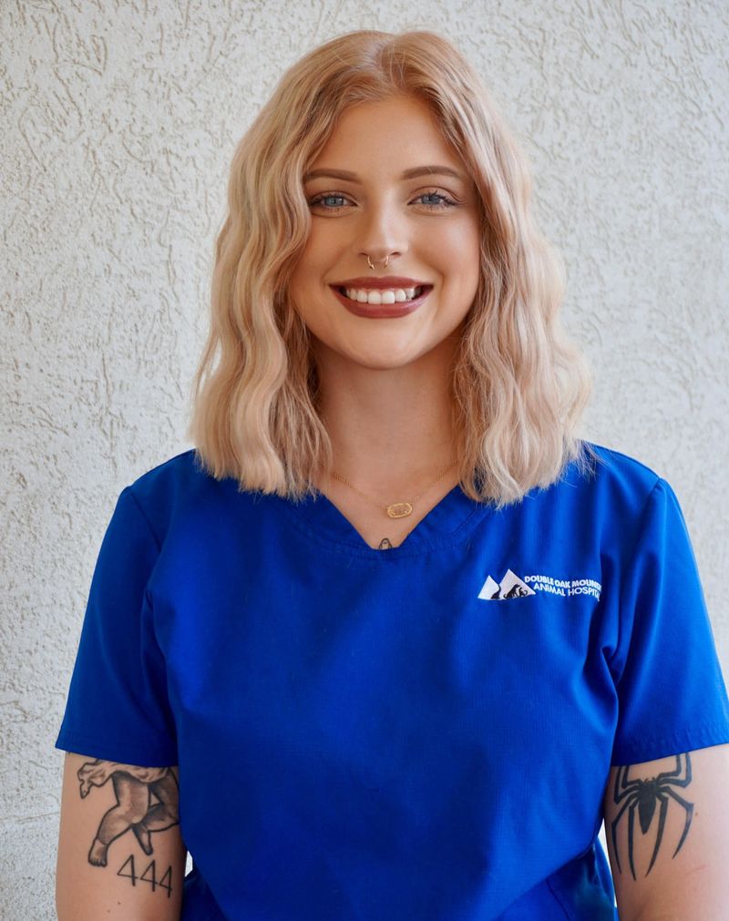 Meet Our Team At Double Oak Mountain Animal Hospital