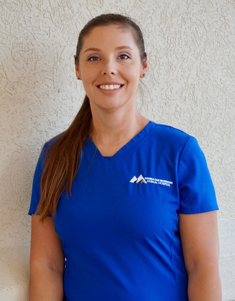Meet Our Team At Double Oak Mountain Animal Hospital