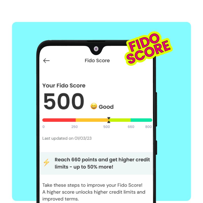 Fido - Understanding How it Works
