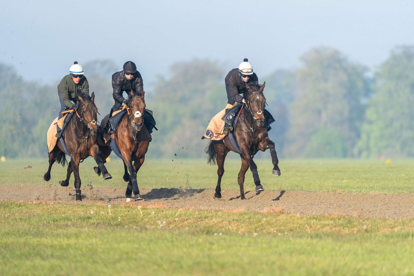 News | Tom Clover Racing