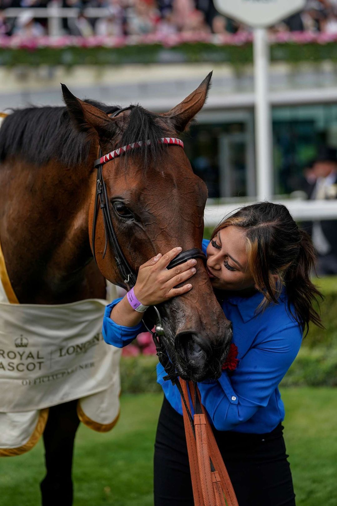 Tom Clover Racing | Racehorse Trainer