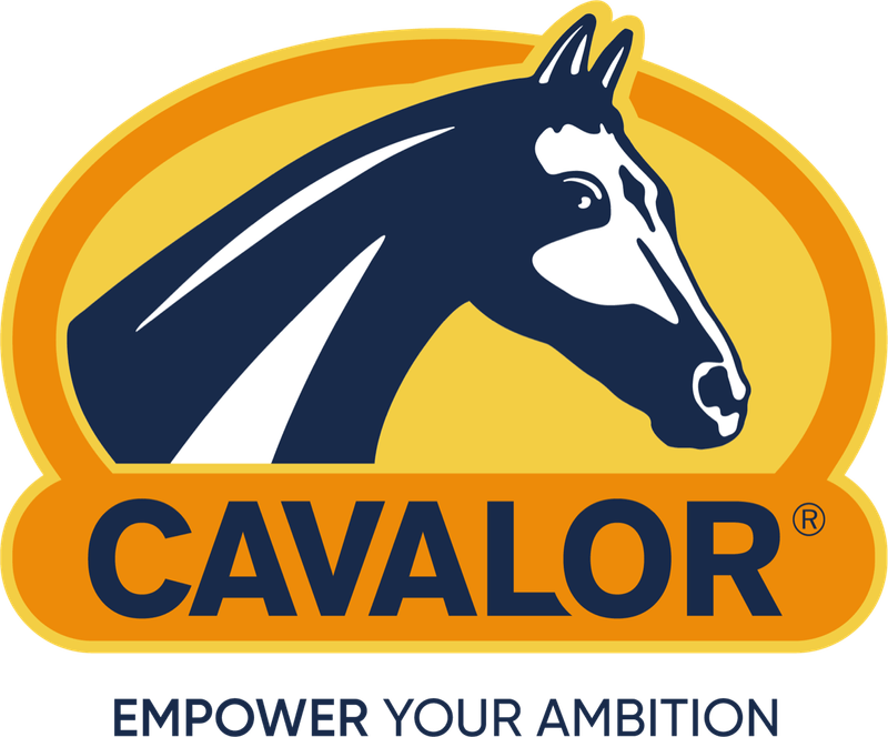 Tom Clover Racing | Racehorse Trainer