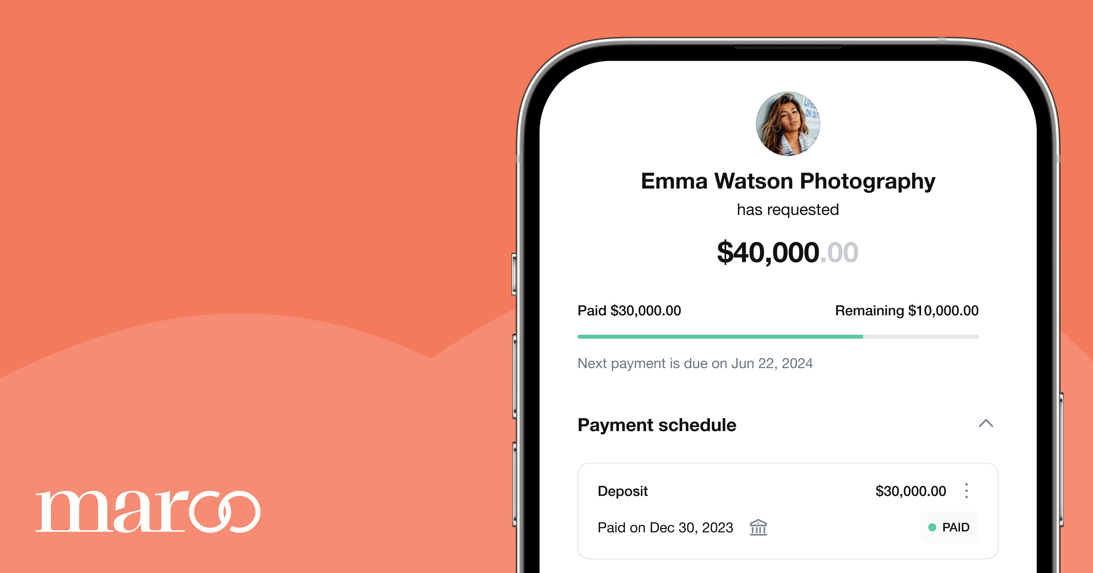 Accept online payments without fees