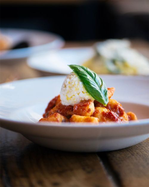 Terroni Queen | Gruppo Terroni
