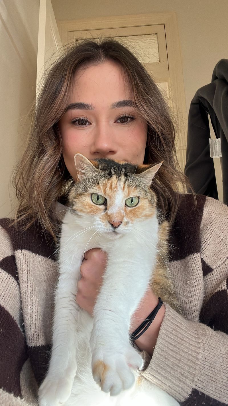 Design Briefs: How to Create Effective Briefs for Design Projects