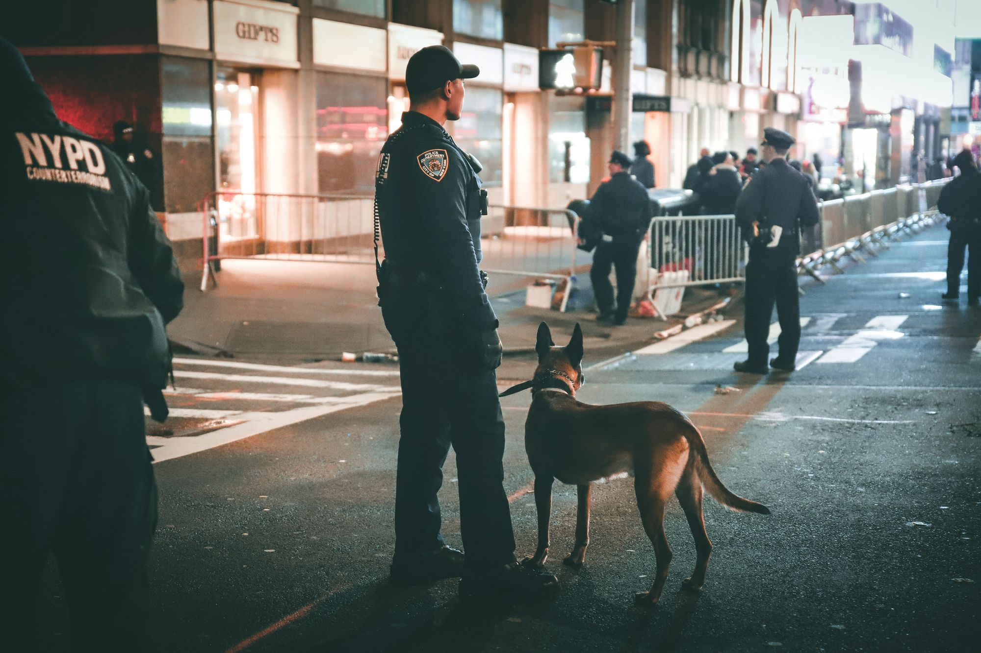 From Puppy to Pro: How to Train Detection Dogs for Explosives and Drugs