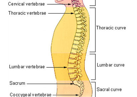 What Causes Lower Back Pain? | Hyperhealth