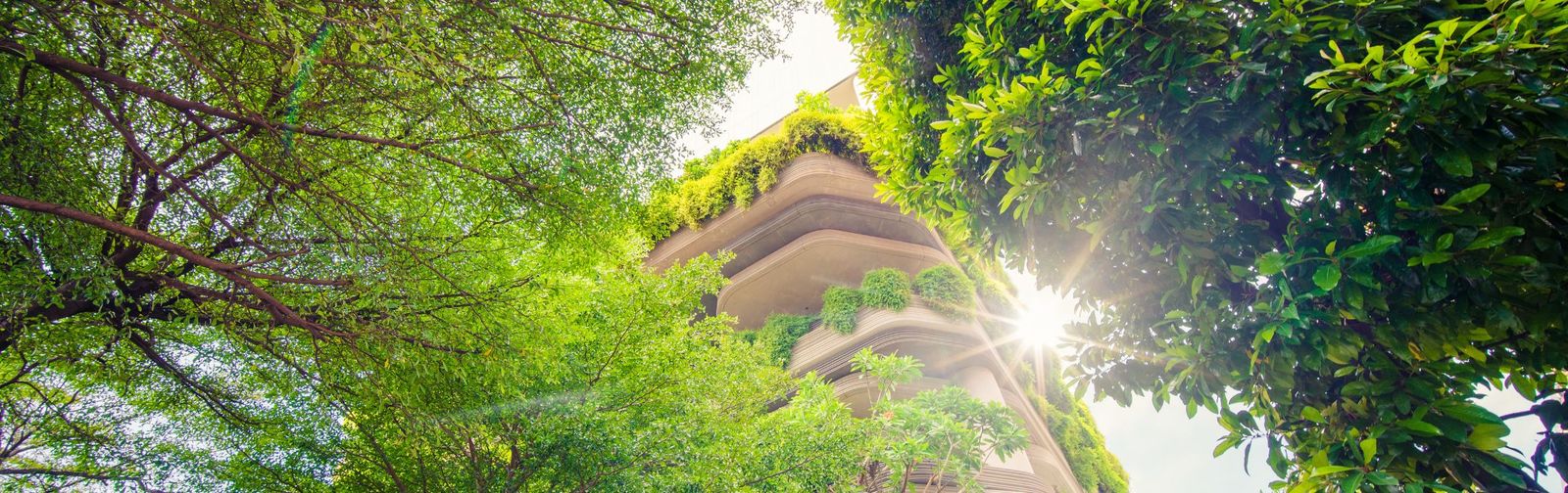 Sustainable Commercial Buildings: The Path to a Greener Future | CIM