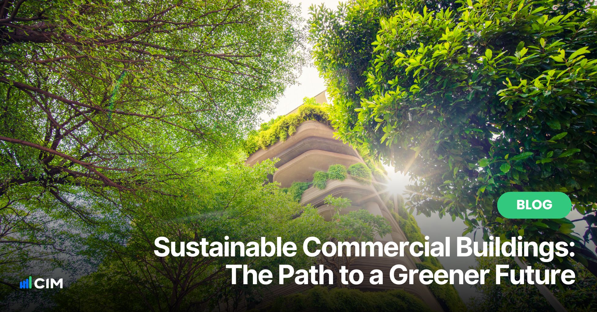 Sustainable Commercial Buildings: The Path to a Greener Future | CIM