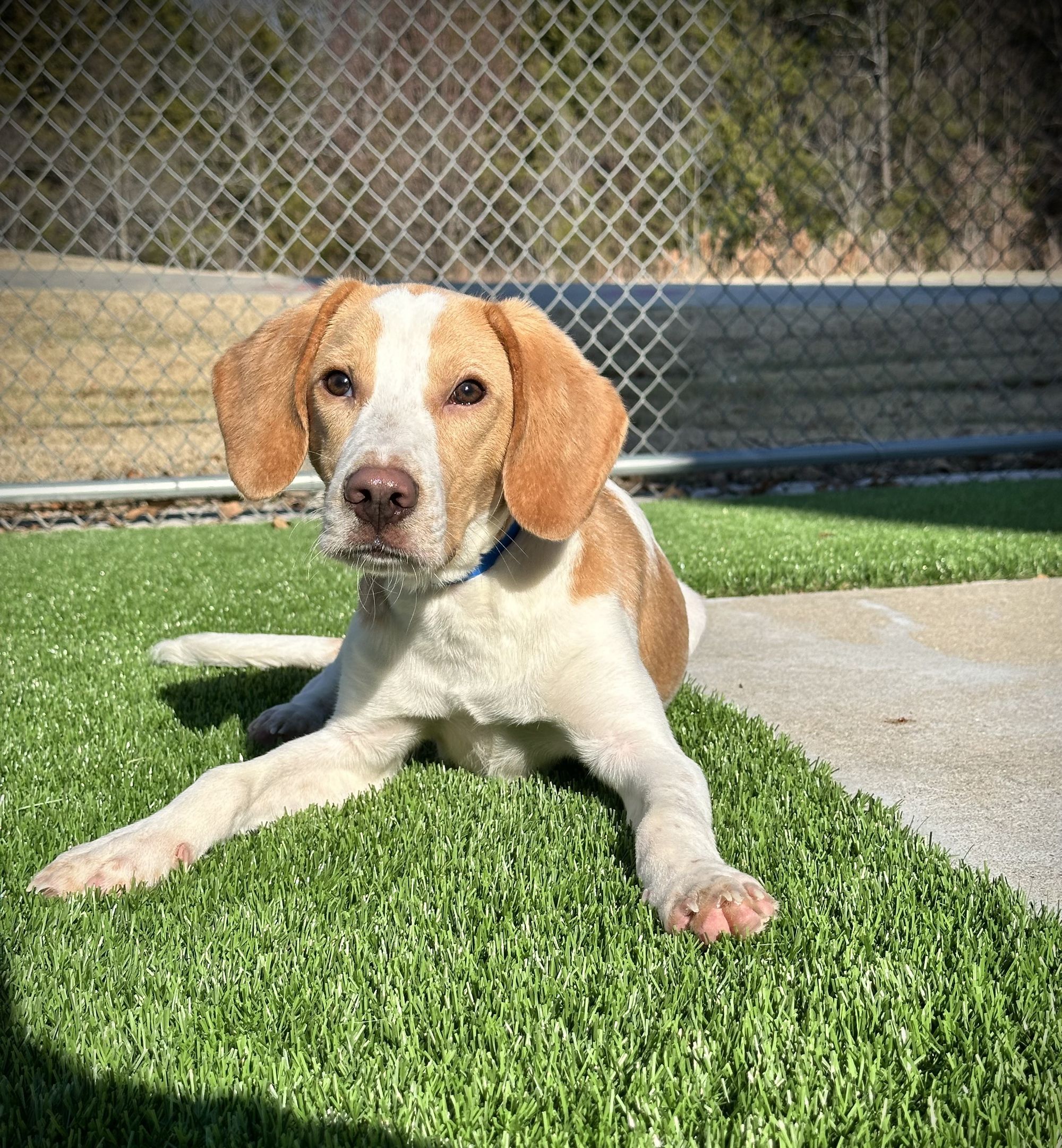 Ardmore Animal Shelter in Ardmore, Oklahoma