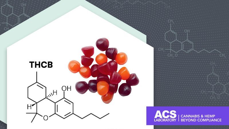 Comprehensive Guide to THCB Research: Potency, Effects | ACS Laboratory