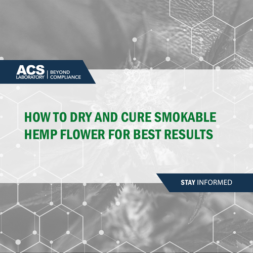 How to Dry and Cure Smokable Hemp Flower for Best Results