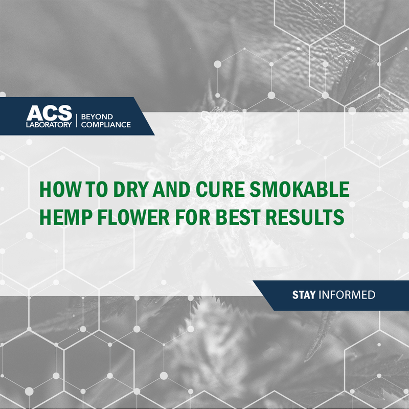 How to Dry and Cure Smokable Hemp Flower for Best Results