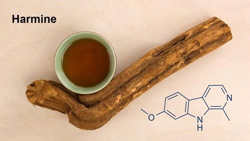 Harmine Guide: Effects, Benefits, Risks, and Legality