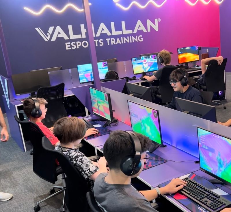 About Us | Valhallan Esports Training