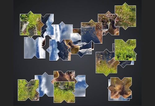 Ready-to-use demo applications and features – JointJS