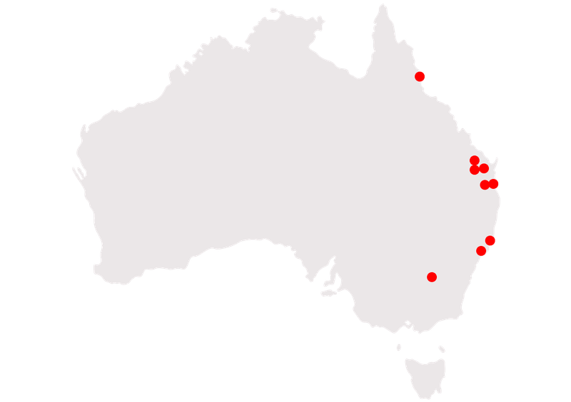 Our Company | Hyne Timber