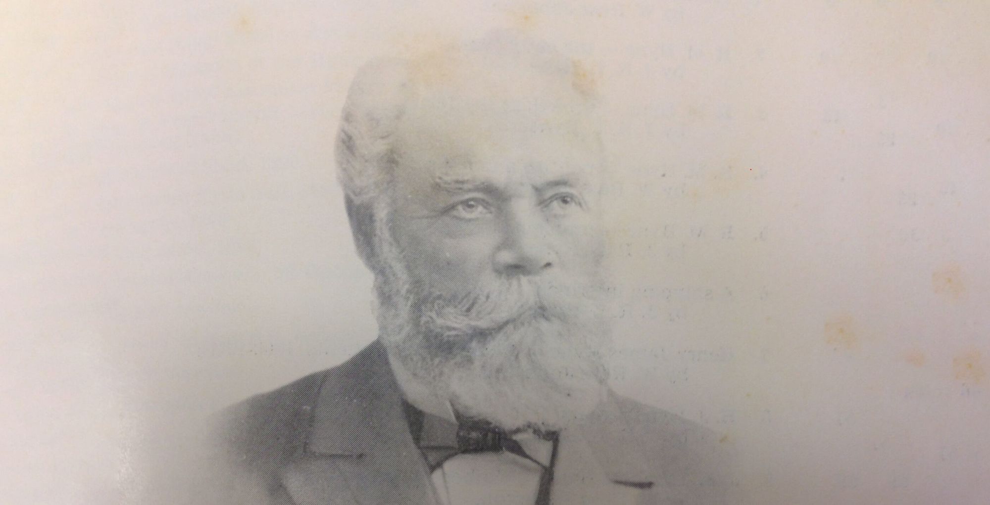 Timber Span Tables | Hyne Timber