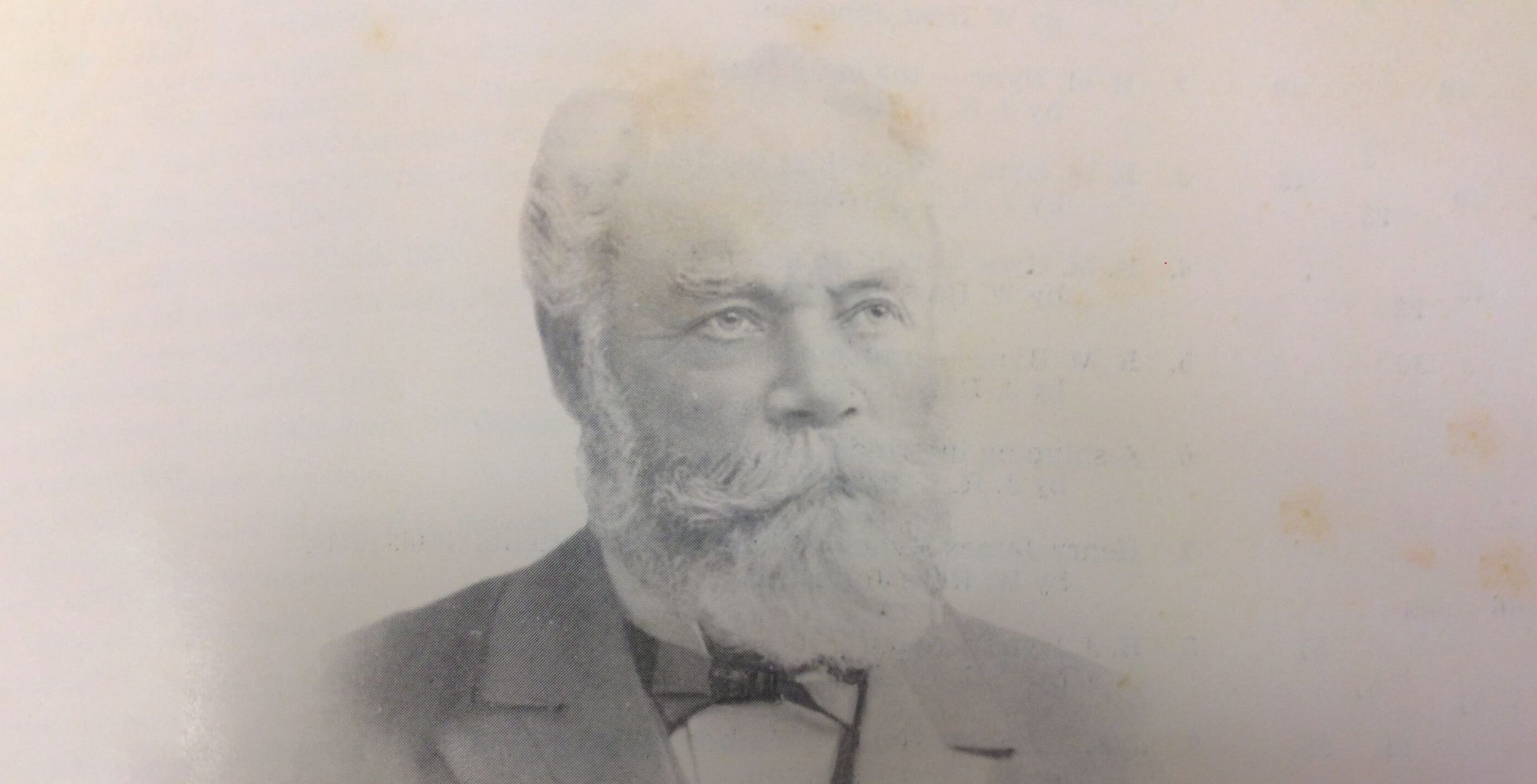 Decking Bearers & Joists: The Backbone of your Outdoor Oasis | Hyne Timber