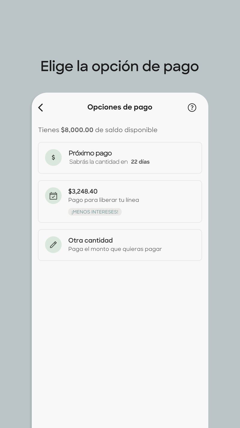 Pago Rápido y Seguro en México: Guía del Sistema SPEI