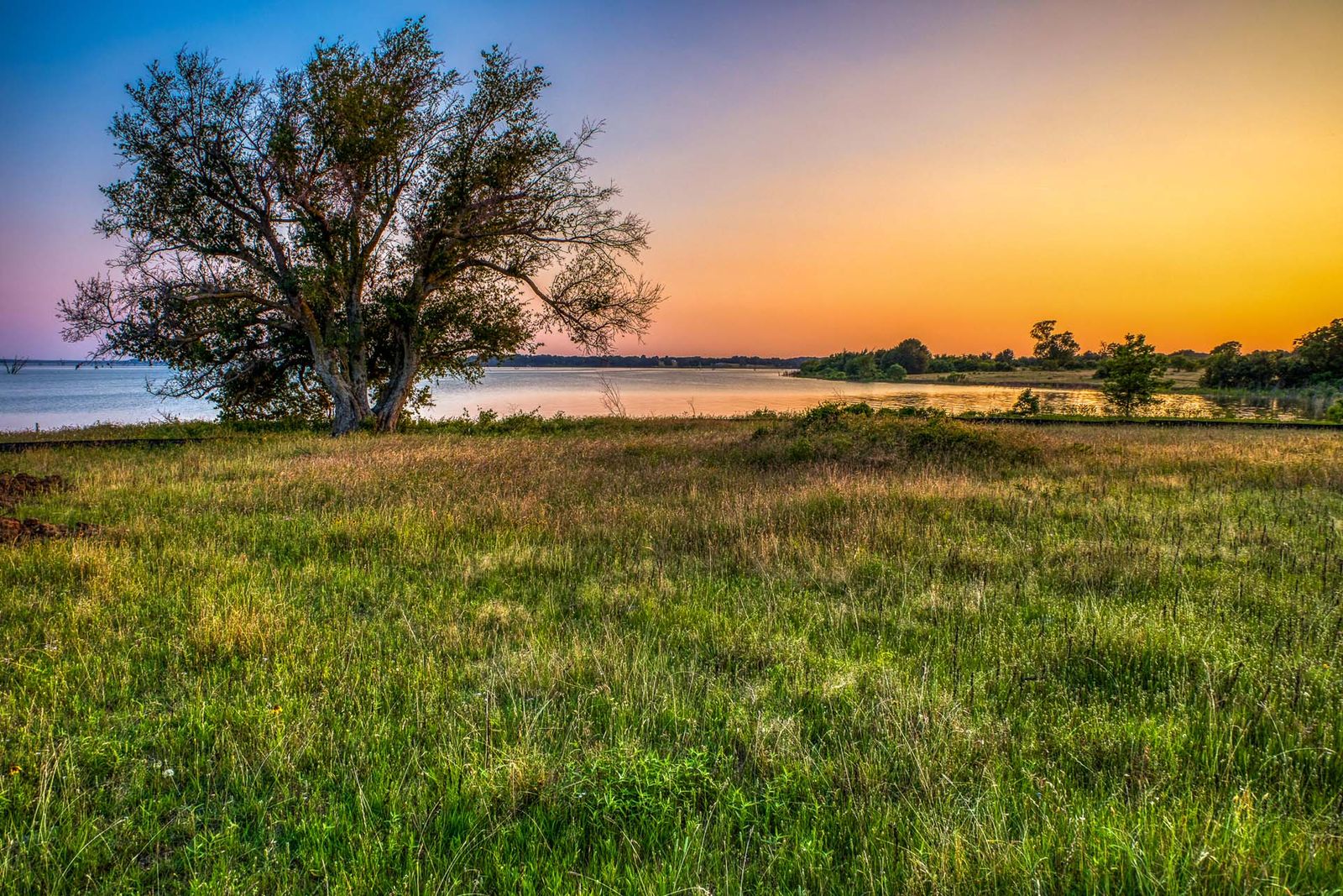 Richland Cove | Now Available