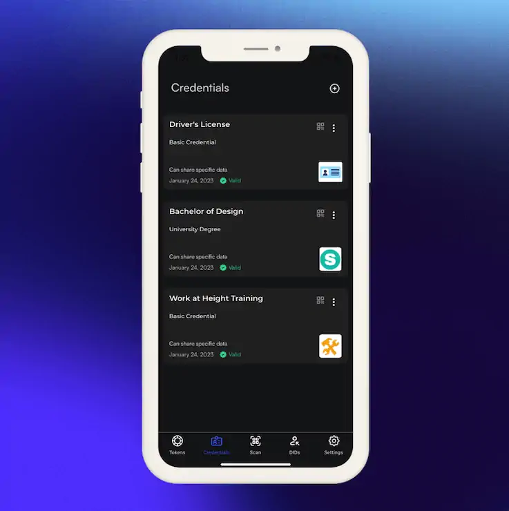 Digital ID Wallet: Complete Guide 2024