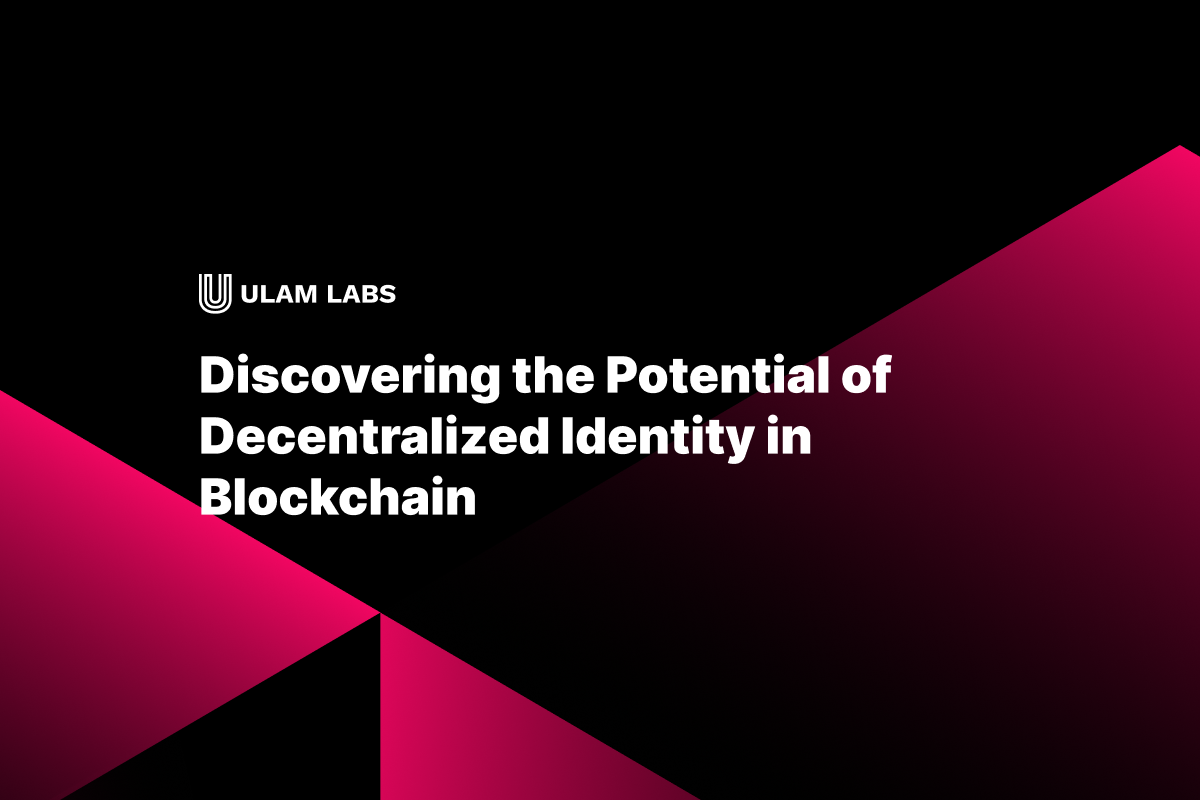 Discovering the Potential of Decentralized Identity in Blockchain