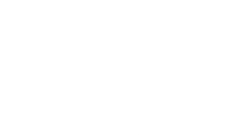 THE ACADEMY Youth Soccer Novel | T.Z. Layton Books