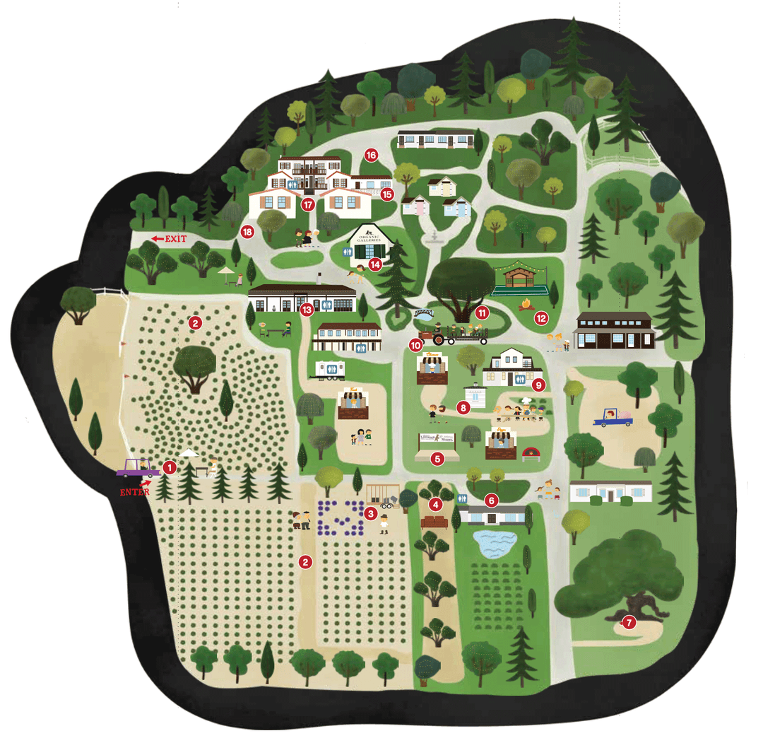 Lavender Nights at 123 Farm