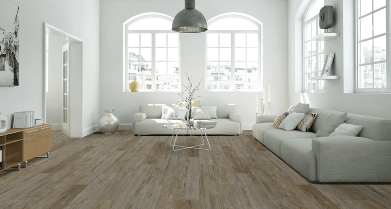 Dynamite Plus | Happy Feet International