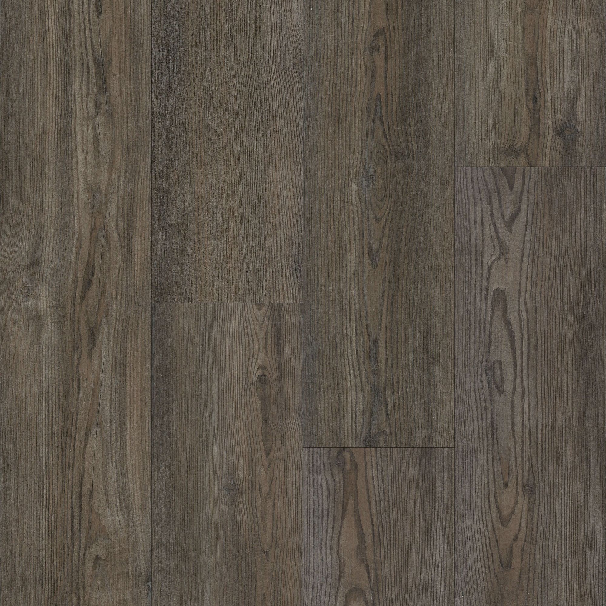 Dynamite Plus | Happy Feet International