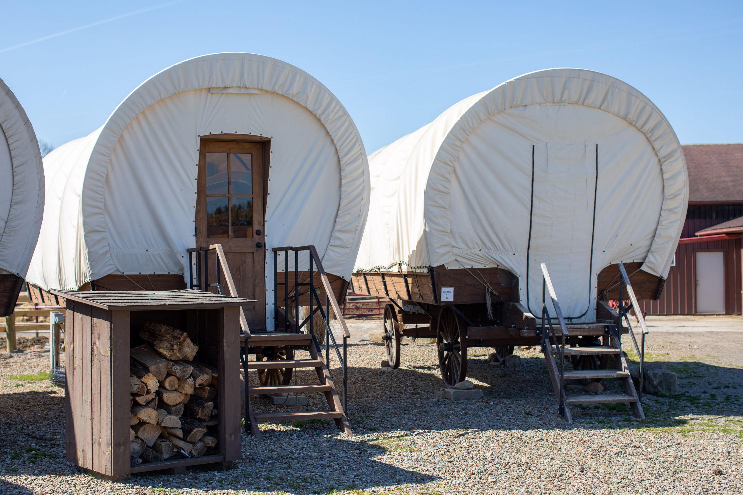 Camp Carl | Camper & Parent Info