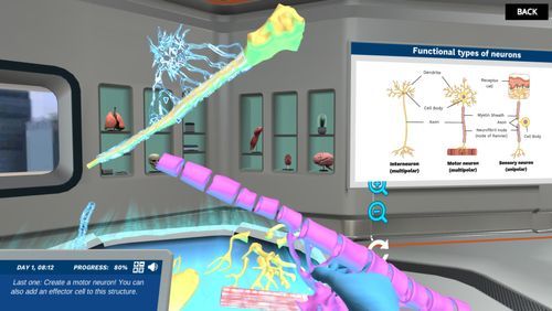 5 Ways to Make Structure and Function of Neurons Interesting for Students