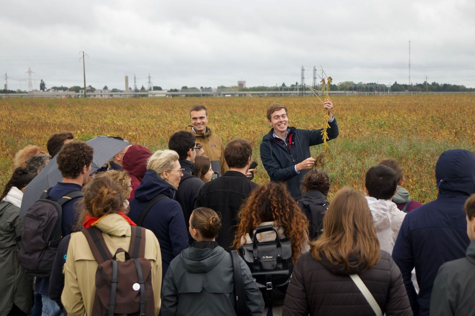 Compensation carbone France : prix et tendances en 2025