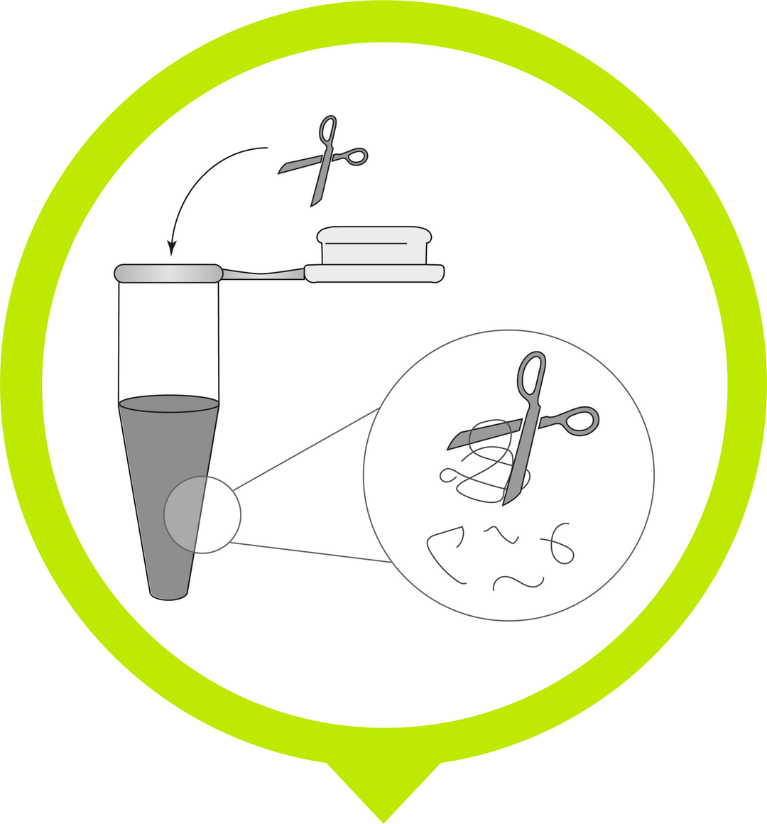 Proteomics Data Visualization | Proteomics Software | Protein Insights