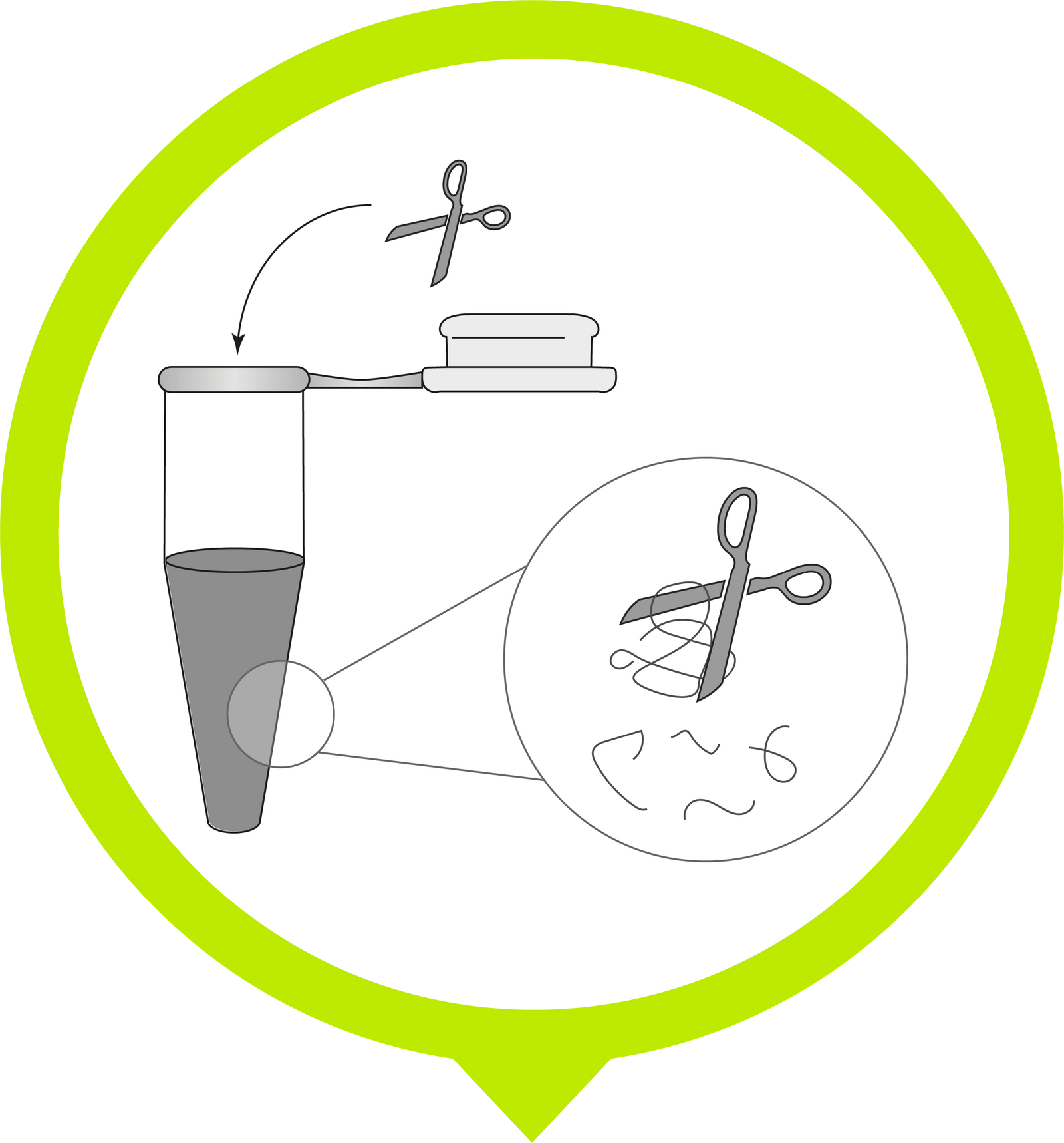 Proteomic Profiling | Proteomics Kit | iST-BCT | Biofluids