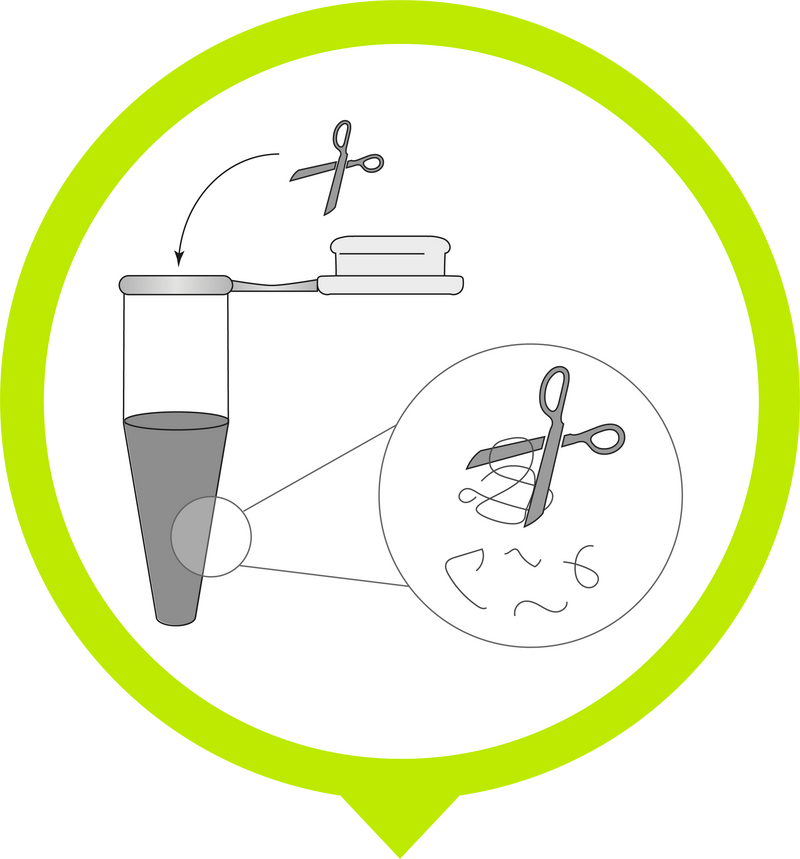 Proteomics Data Visualization | Proteomics Software | Protein Insights