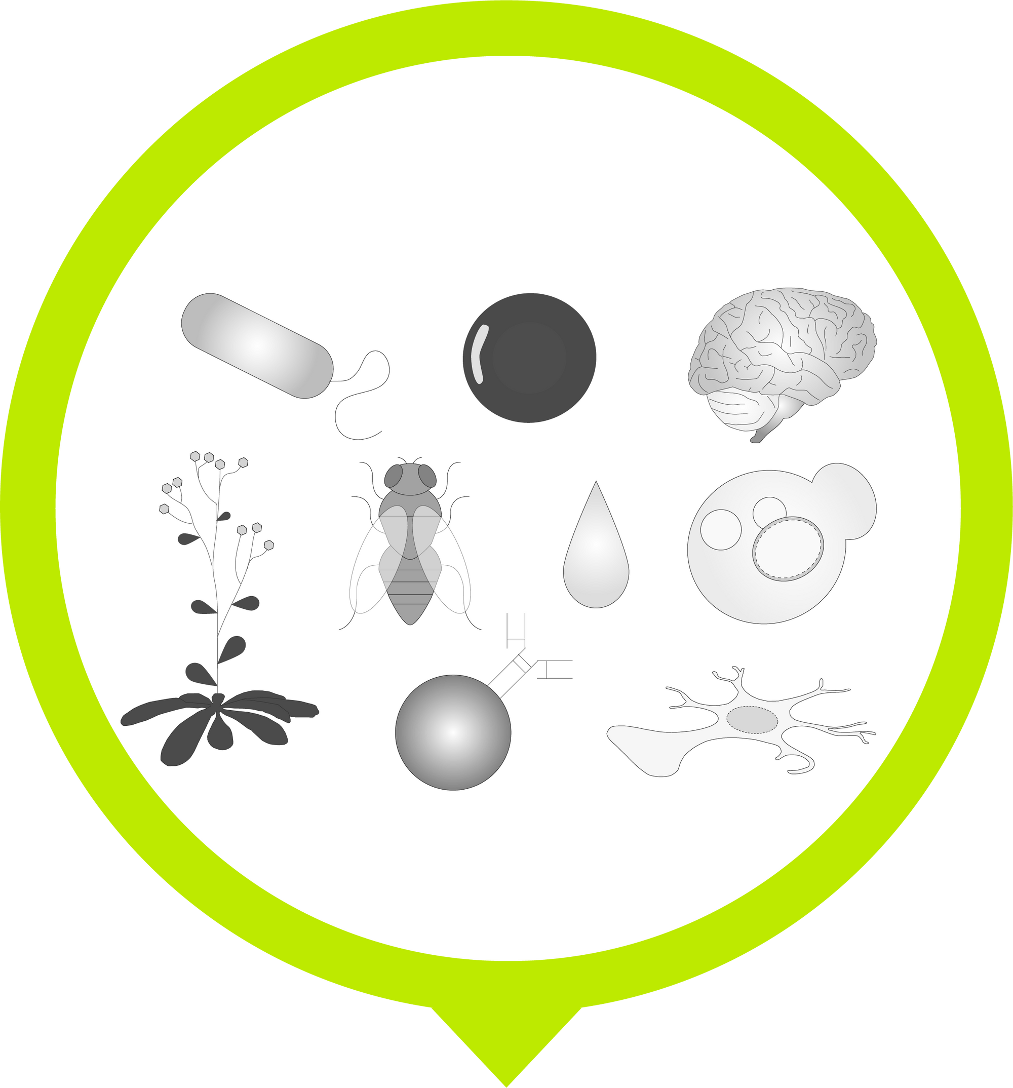 Automated Proteomics | High Throughput | APP96 Platform