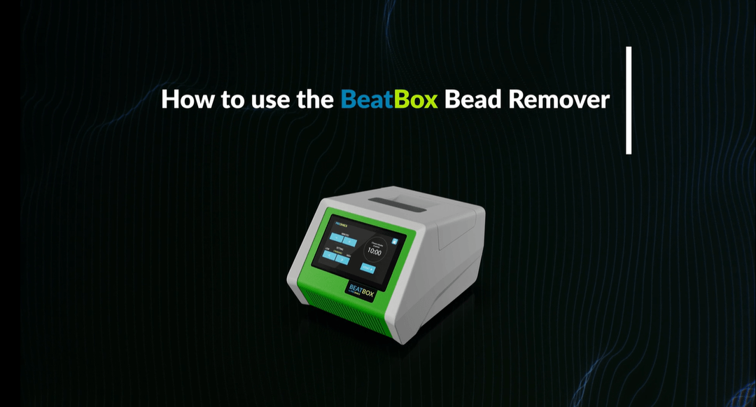 Tissue Homogenizer | Protein Extraction Method | PreOmics