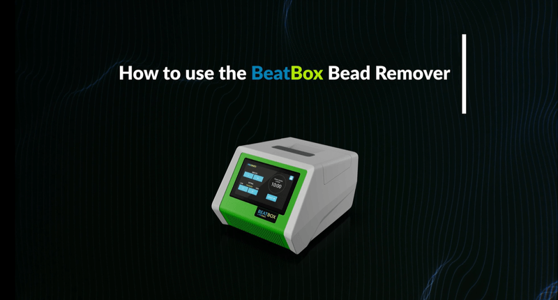 Tissue Homogenizer | Protein Extraction Method | PreOmics