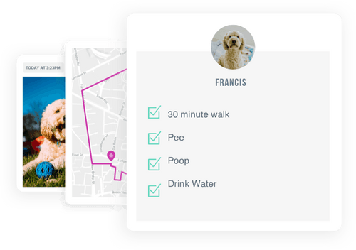 #1 Rated Dog Walking Software | Scout