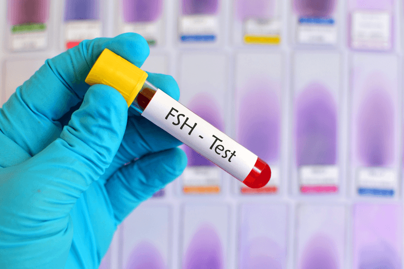FSH Levels and Fertility: What You Need to Know (and Why It Matters)